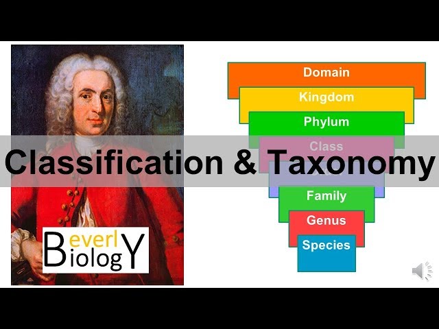 Understanding Classification and Taxonomy: The Science Behind Naming Organisms | Galaxy.ai