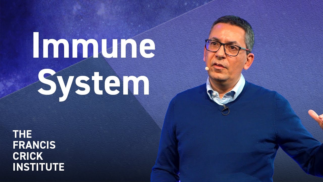 The Past, Present and Future of Immunology Research – with Caetano Reis e Sousa