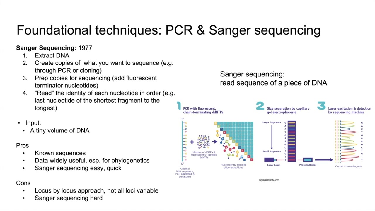 An overview of molecular techniques used in plant evolutionary and conservation studies