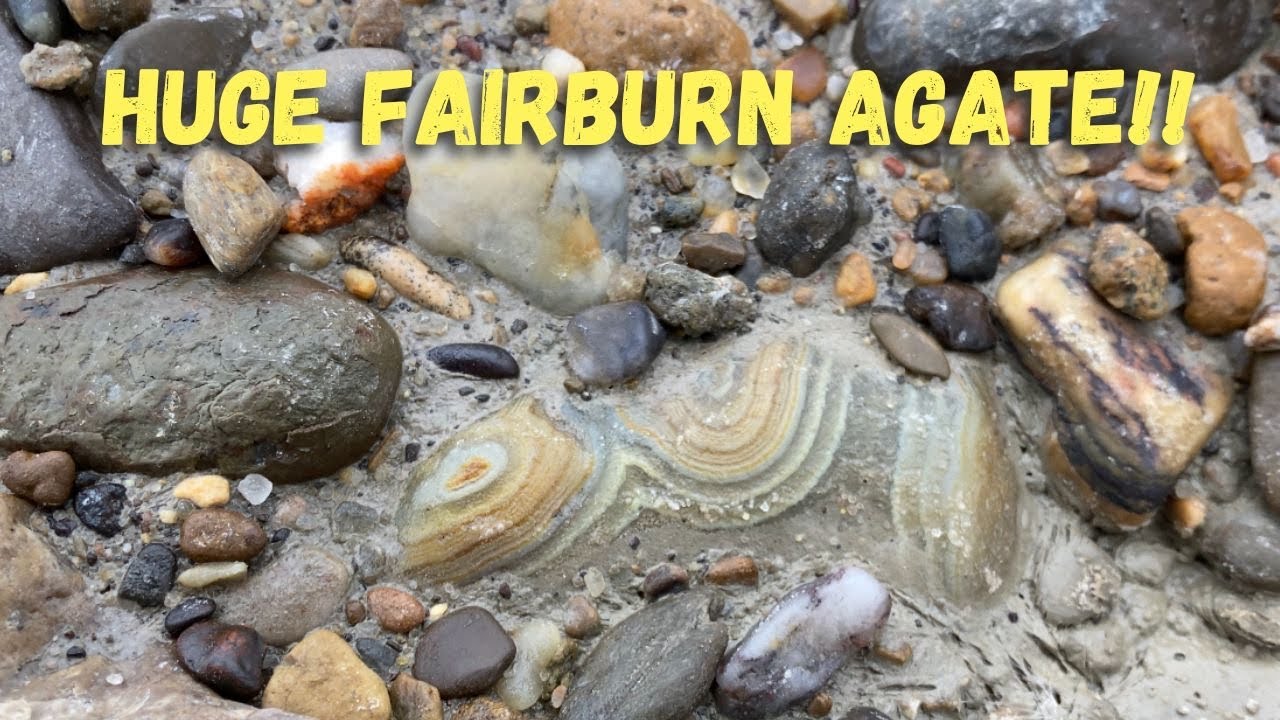 Huge 1/2lb Fairburn Agate as it was found!
