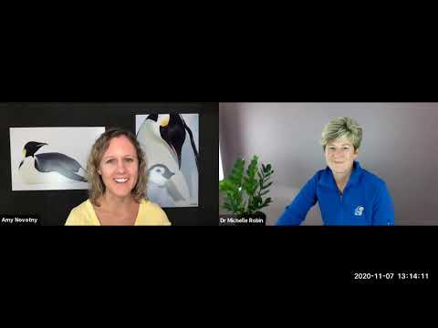 What are the four quadrants of wellness with Dr Michelle Robin