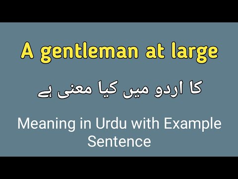 A gentleman at large meaning in urdu/hindi || A gentleman at large ka matlab kia hota ha