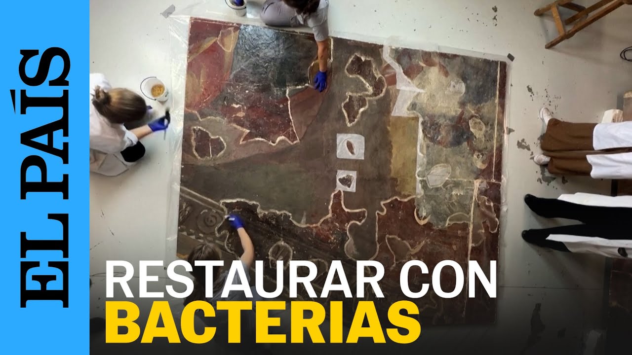 🦠🧫BACTERIAS vivas para restaurar los frescos de una Iglesia: La innovadora técnica de dos españolas