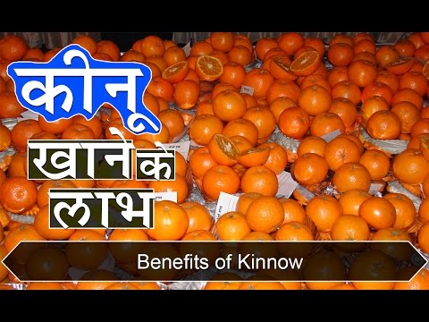 Kinnow - Wholesale Price & Mandi Rate for Kinnow Orange