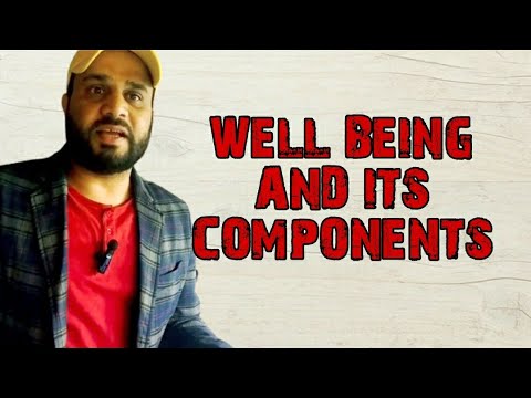 WELL BEING AND ITS COMPONENTS psychology 6th semester