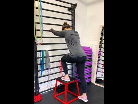 Patellar Tendinopathy Exercise
