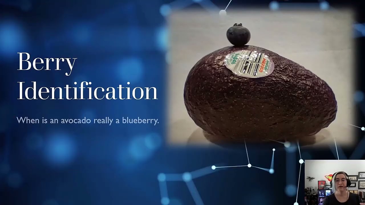 Accessibility Planning – choosing the right blueberries for your project