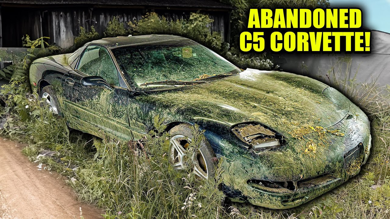 Abandoned C5 Chevy Corvette Found Trapped in a Backyard, Is It Really ...