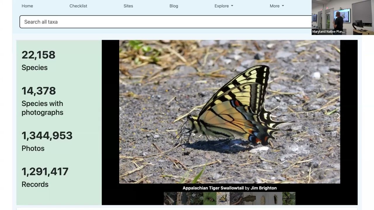 Maryland Biodiversity Project with Jim Brighton