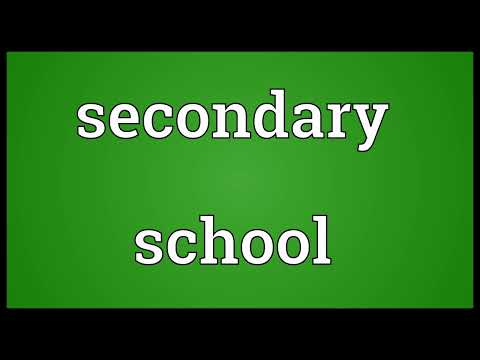 Secondary schools meaning