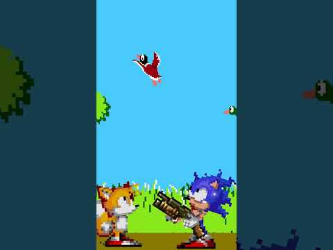 Sonic The Hedgehog vs Duck Hunt