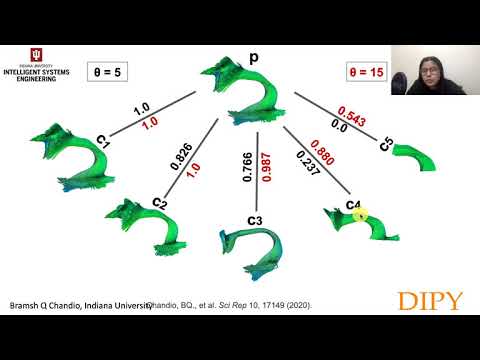 Tractometry Part 3 - BUAN - Bundle Shape Similarity Analysis
