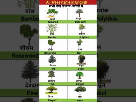All trees name un english | सभी पेड़ो के नाम अंग्रेजी मे | #shortsfeed #ytshorts