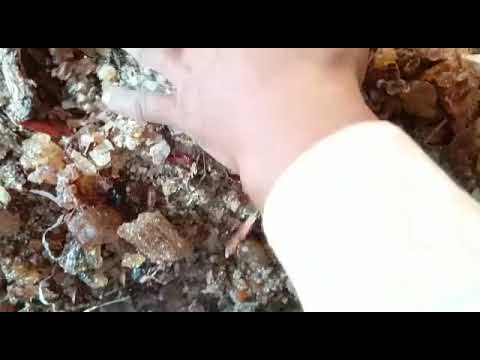 Natural Gum at Best Price in India