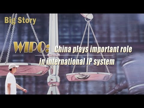 WIPO: China plays important role in the international IP system