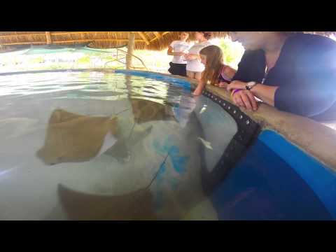 Aquarium Encounters