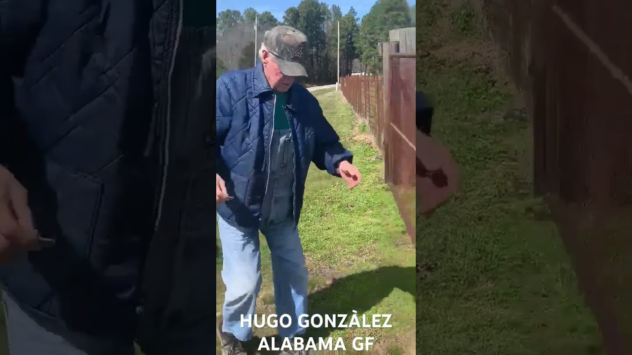 Roy Brady game farm  clement Grey …. Hugo Gonzalez ALABAMA GF