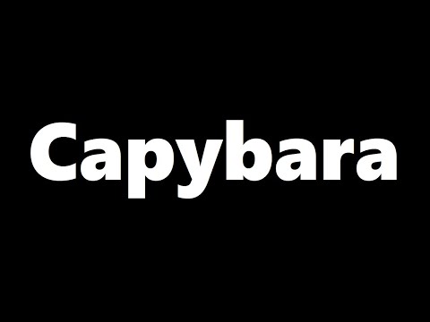 How to pronounce capybara | English Word Pronunciation Guide