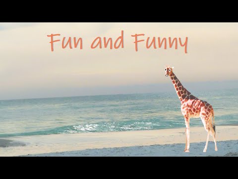 Fun and Funny: Their English Meanings