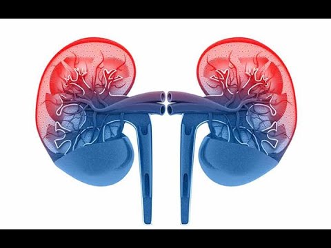 Definition and Meaning of Acute Kidney Injury
