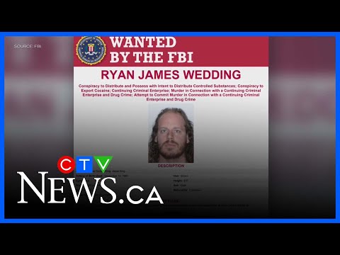 Former Canadian Olympian turned drug lord Ryan Wedding on FBI's most wanted with $10M bounty