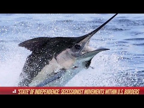 Secession Movements in the U.S. | "The HotList"