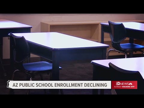 The impact of private school vouchers on public school enrollment