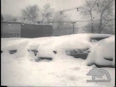KANSAS CITY BLIZZARD