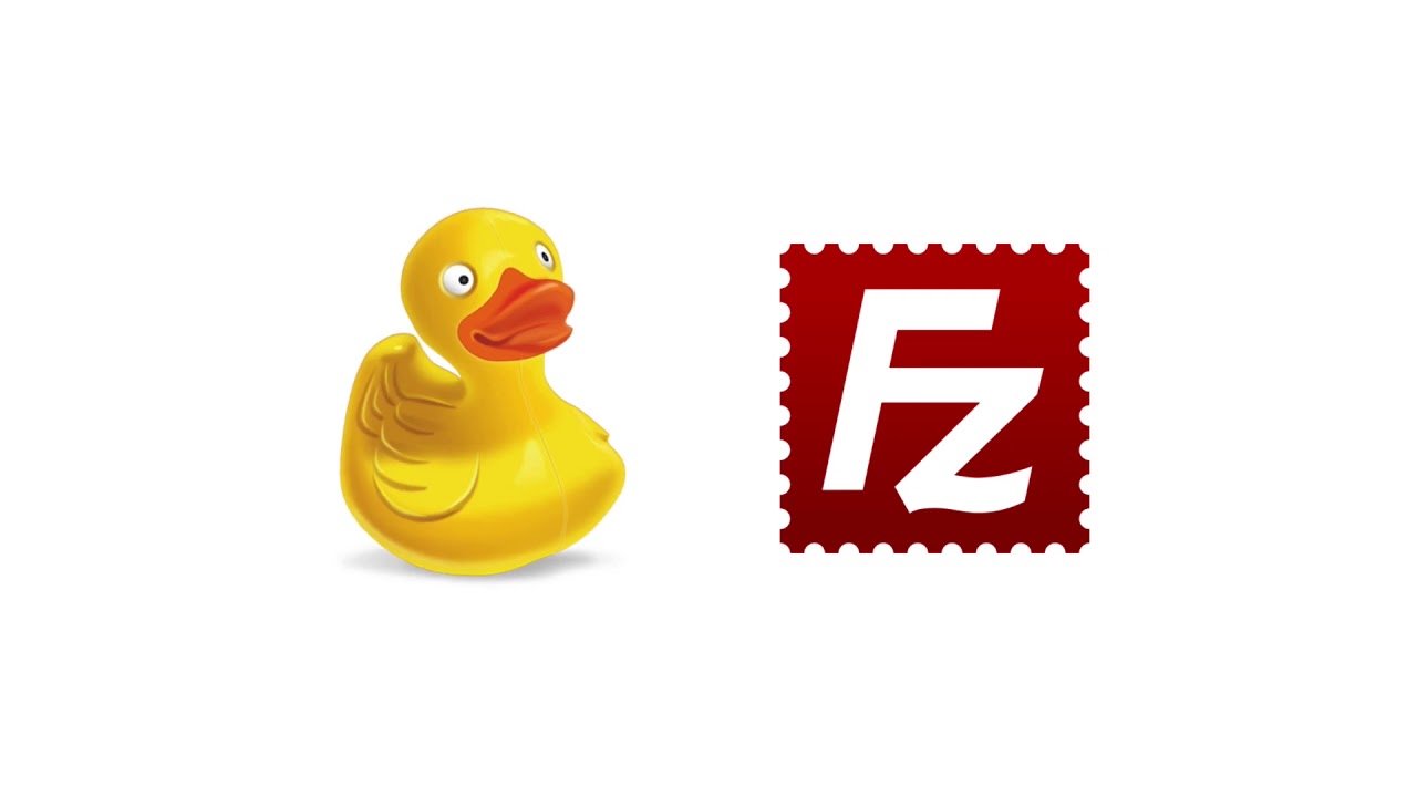 How to Edit WordPress Code HTML, CSS, PHP, JavaScript (EASY GUIDE) in 2021