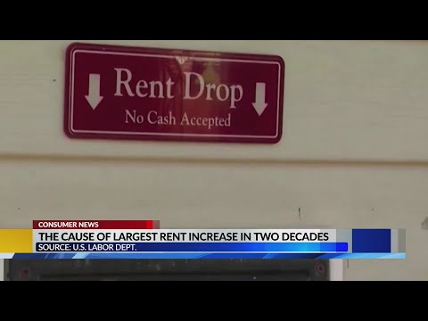 Rents reach 'insane' levels across the country with no end in sight