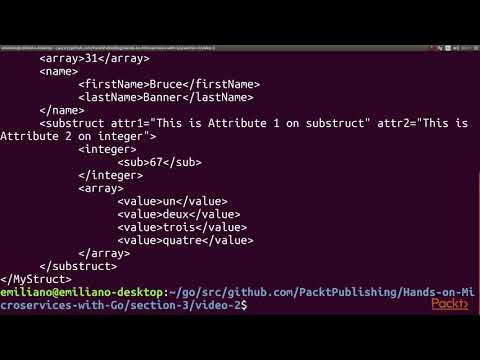 Learn Hands On Microservices with Go The Course Overview | packtpub com - Mind Luster
