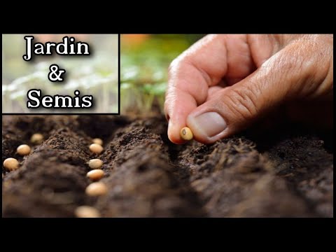 Semis, repiquage, promenade nature ! Printemps 2024 Préparation du jardin potager en permaculture