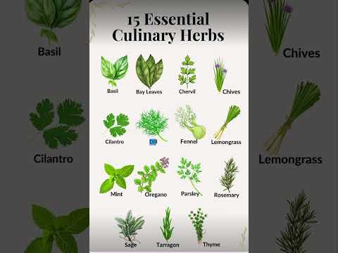 English Vocabulary | 15 Essential Culinary Herbs Names With Pictures @StartFromScratch.