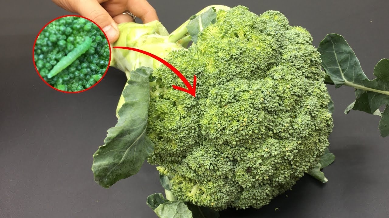 The Right Way to Clean Broccoli: A Step-by-Step Guide | Galaxy.ai