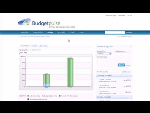 Define a budget item