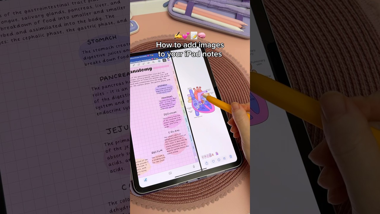 How to add images to your iPad notes ✏️💕 aesthetic study notes | digital note taking | goodnotes app