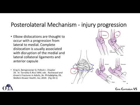 Forearm and Elbow Trauma – OrthoClips