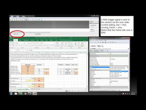 Lynx CL: How to use line and frame trigger