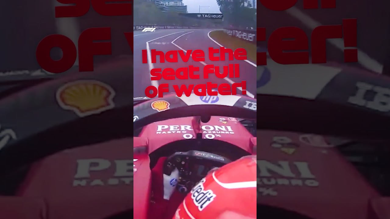 Words Of Wisdom 🤣