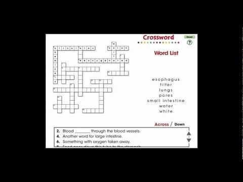 CC7551 Circulatory, Digestive & Reproductive Systems: Crossword Mini - 2013