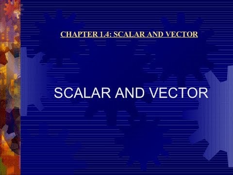 scalar and vector quantities physics in urdu || Hindi