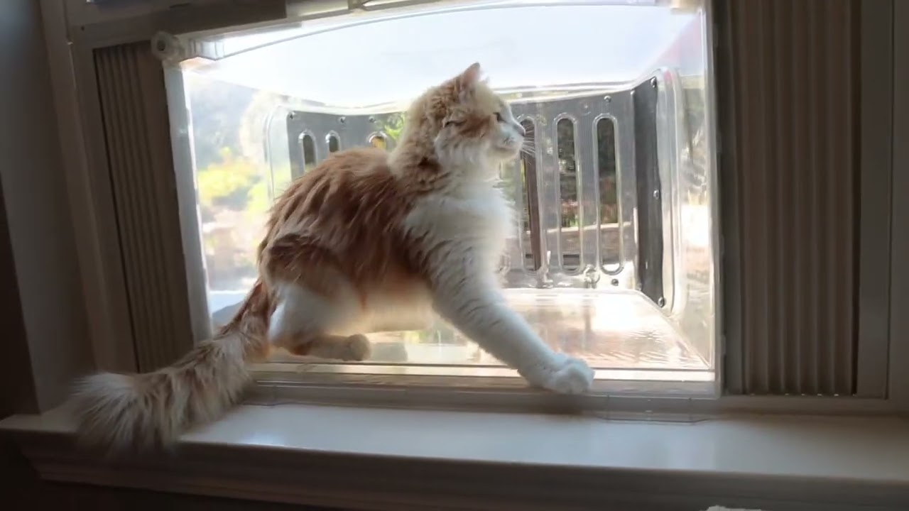 VistaCatio - Window Catio Box