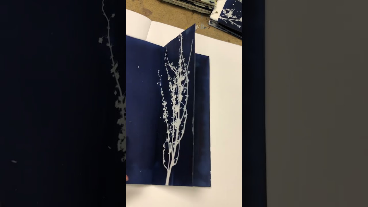 Grass Cyanotype Flutter Book