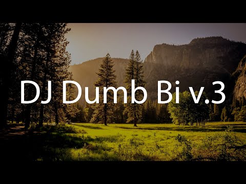 DJ Dumb Bi v.3