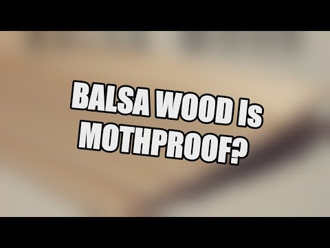 Balsa wood is mothproof? | Strange Facts – Ministry of Facts