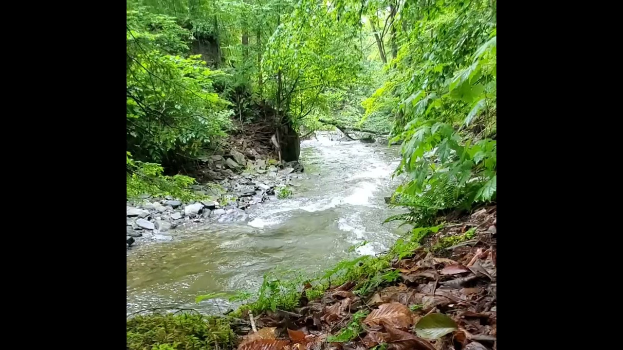 E Putney Brook 3