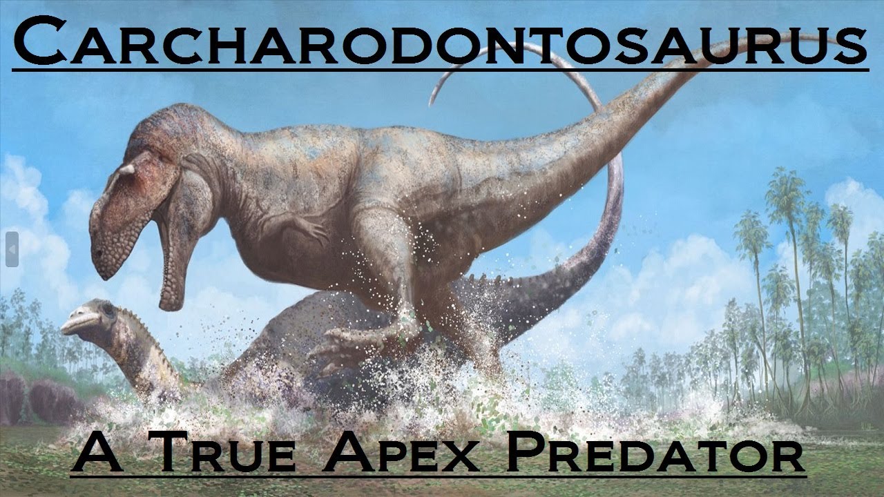 Prehistoric Breakdown: Carcharodontosaurus