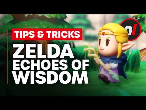 20+ Tips and Tricks for Zelda: Echoes of Wisdom