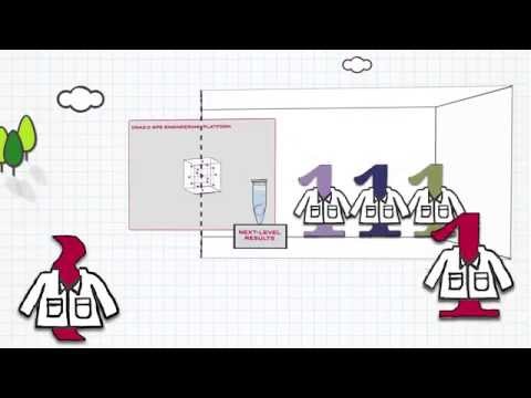 Synthetic Biology Solutions