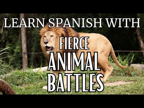 "Spanish Vocabulary: Deadly Fangs and Claws!"